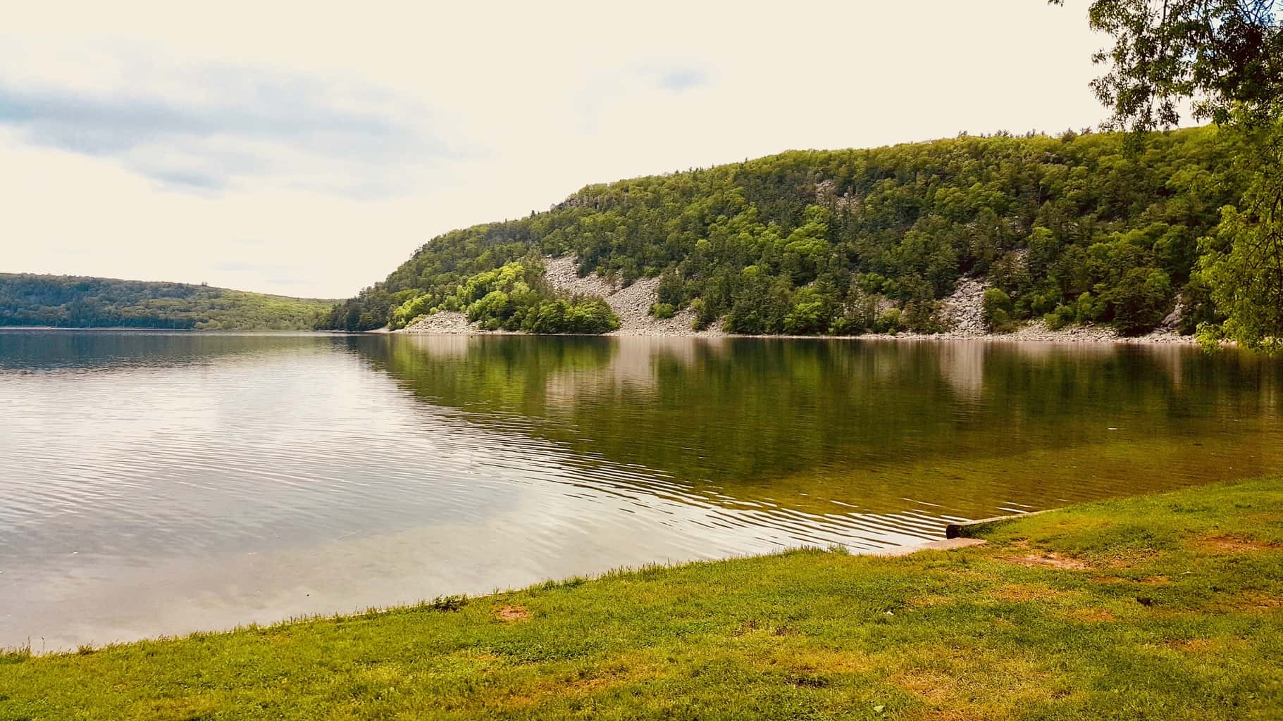 Learning to See Again | Cream City Catholic